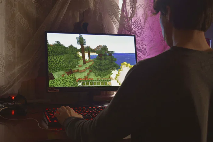 Niat Galang Dana Pengobatan Cucu, Nenek Streamer Minecraft Ini Kena ...